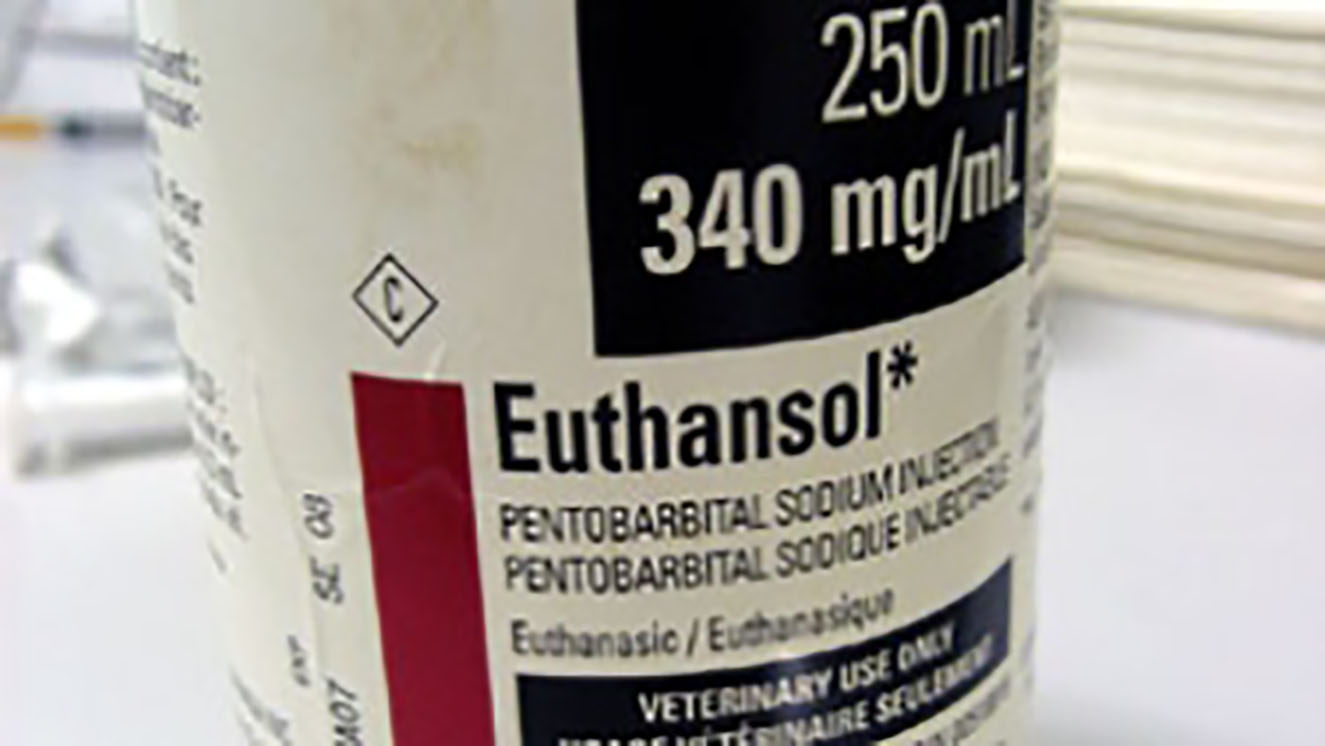 From the Gallows to the Chair | States of Incarceration